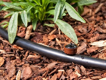 DIG PCA-CV PC Drip Emitter with Built-in Check Valve – Blue Mesa Supply